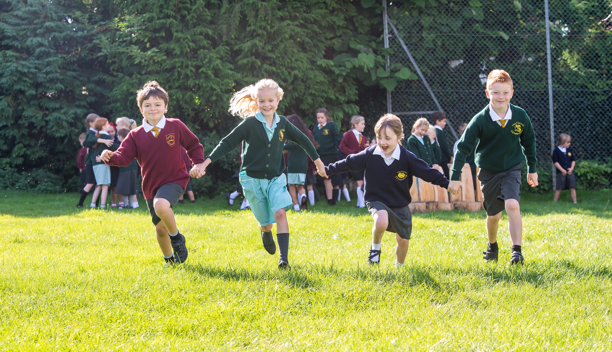 The Forest CE Federation - The Forest CE Federation